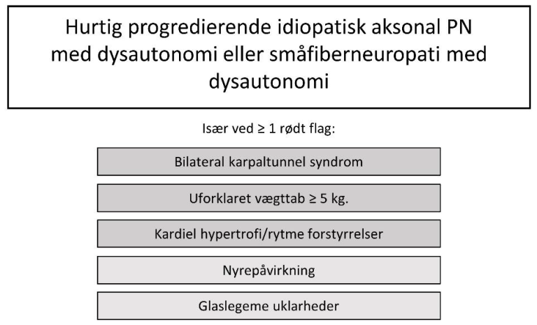 Arvelig amyloidose med polyneuropati – NNBV
