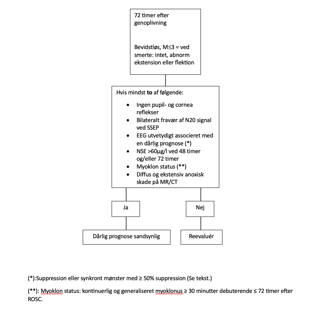 Hypoxisk-iskæmisk hjerneskade – NNBV