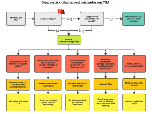 Transitorisk global amnesi (TGA) – NNBV